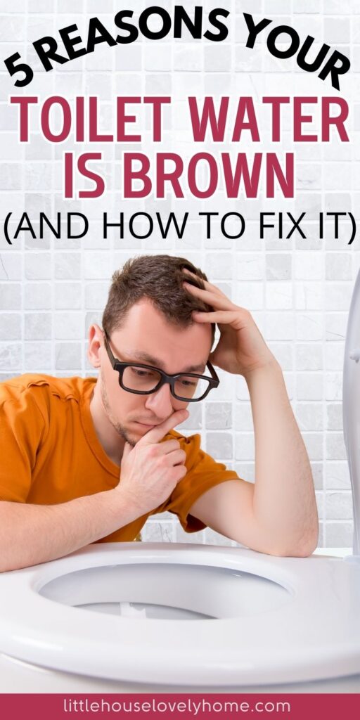 5 Reasons Your Toilet Water Is Brown (And How to Fix It)