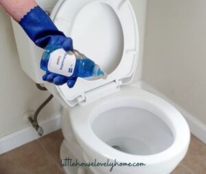 12 Ways to Unclog a Toilet With Poop in It | Little House Lovely Home