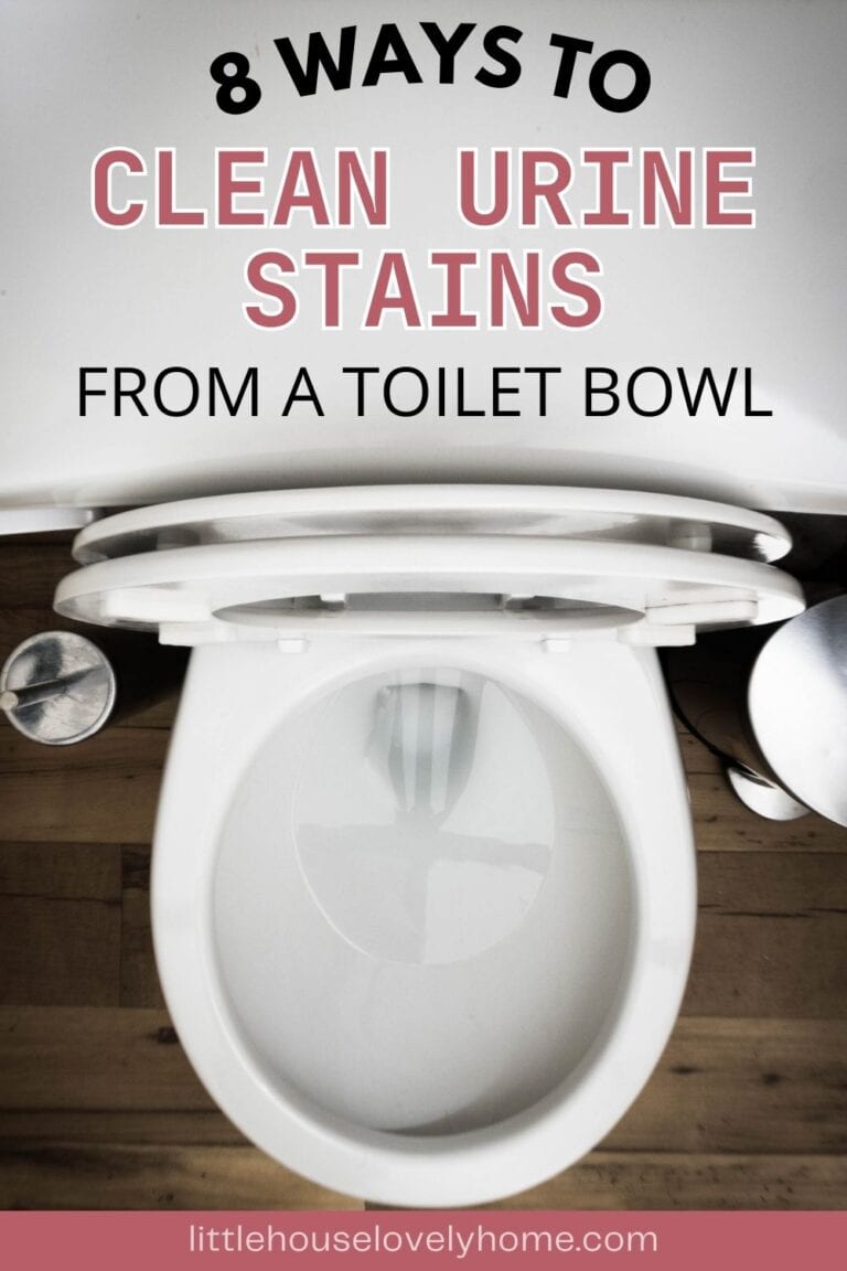 8 Ways to Clean Urine Stains From a Toilet Bowl | Little House Lovely Home