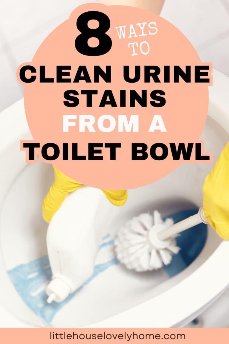 8 Ways to Clean Urine Stains From a Toilet Bowl | Little House Lovely Home