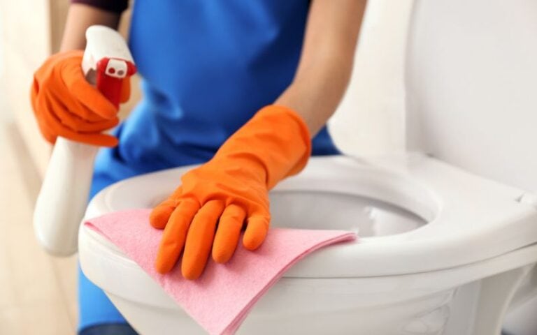 8 Ways to Clean Urine Stains From a Toilet Bowl | Little House Lovely Home